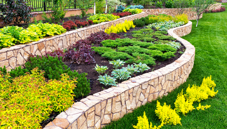 Meet Wannemaker’s Top Plant Picks of 2024 – Wannemaker's